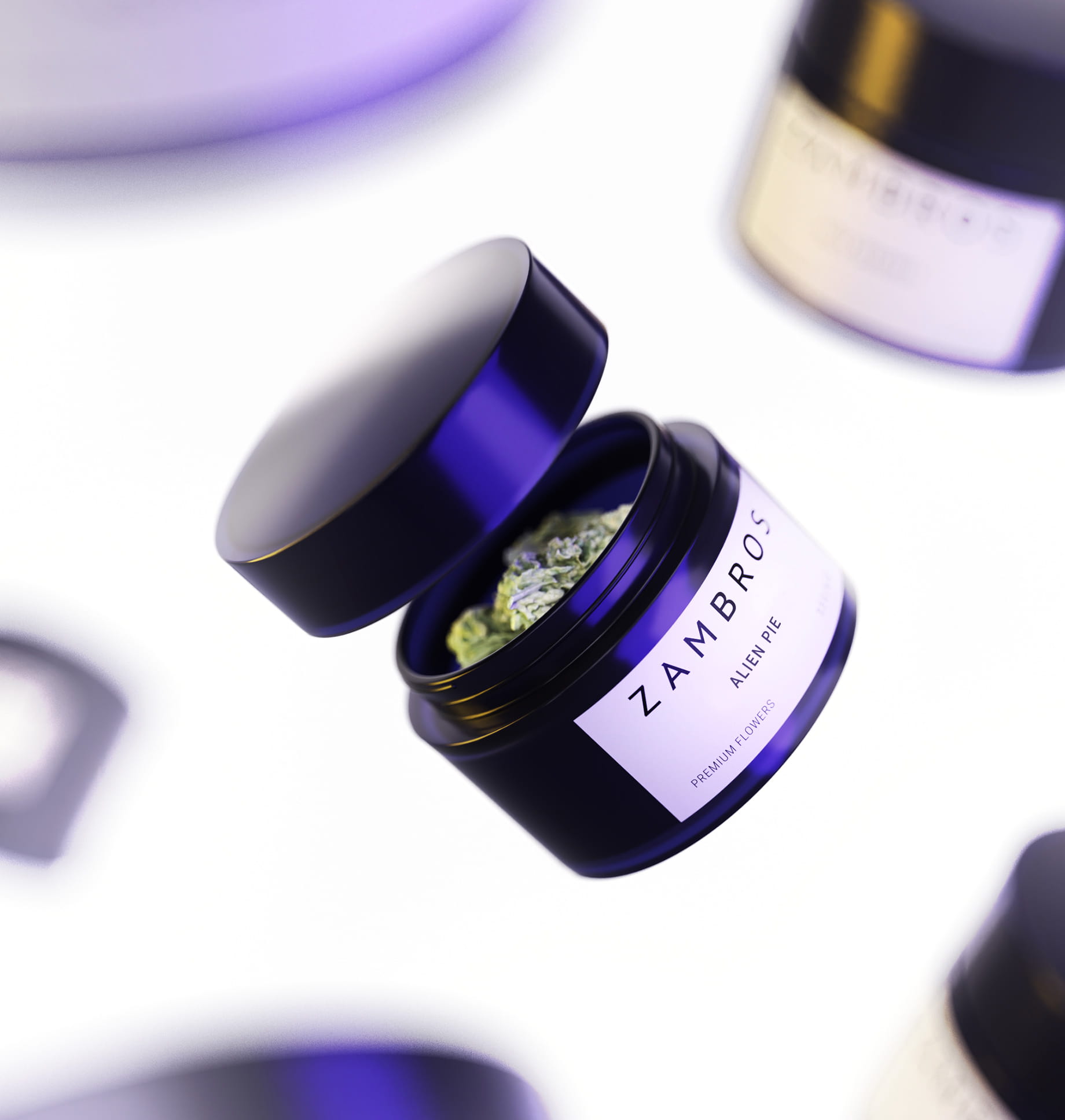 ZAMBROS | META AGROS